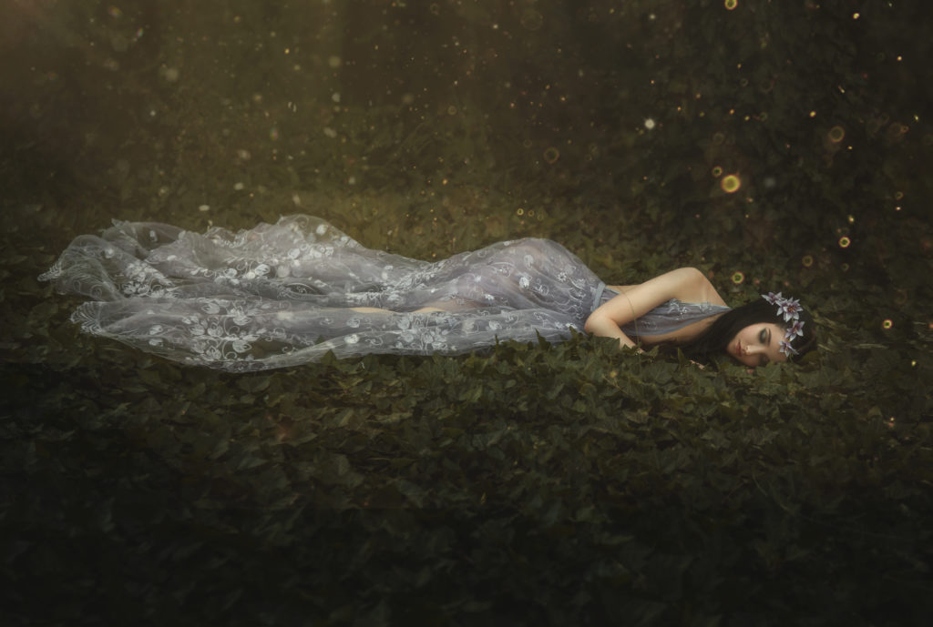 shutterstock_667640755 - Morgan Rice Books